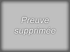 digidip - Sérieux - Affiliation - Online Money World